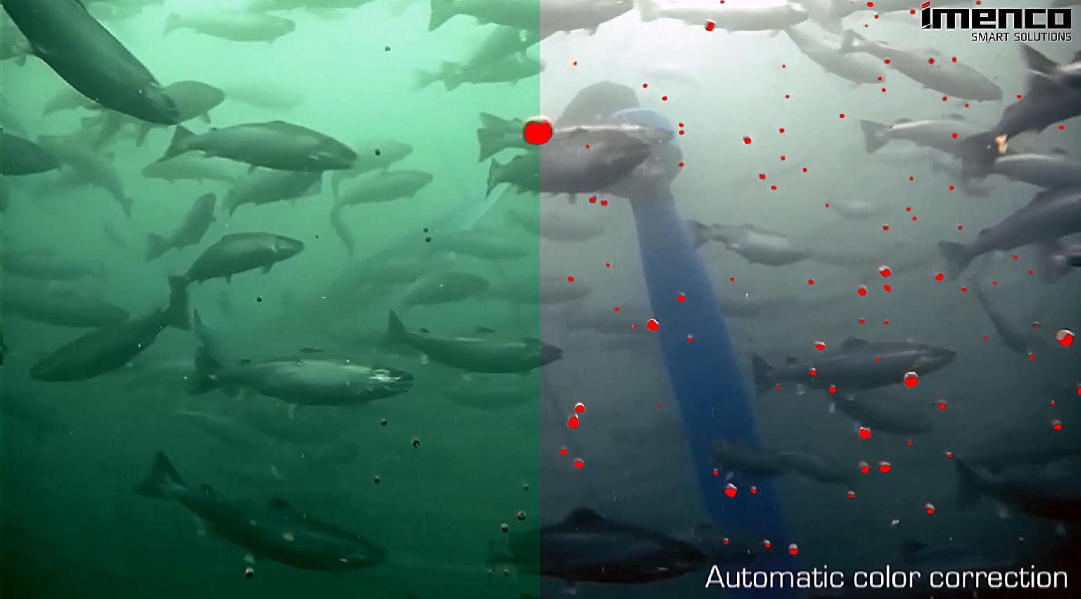 Automatic Pellet Detection Imenco Aqua