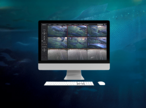 Camera systems - Imenco Aqua